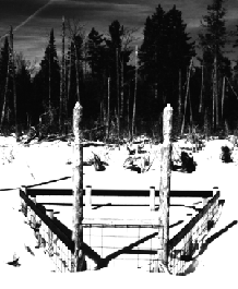 Home - Beaver Deceivers