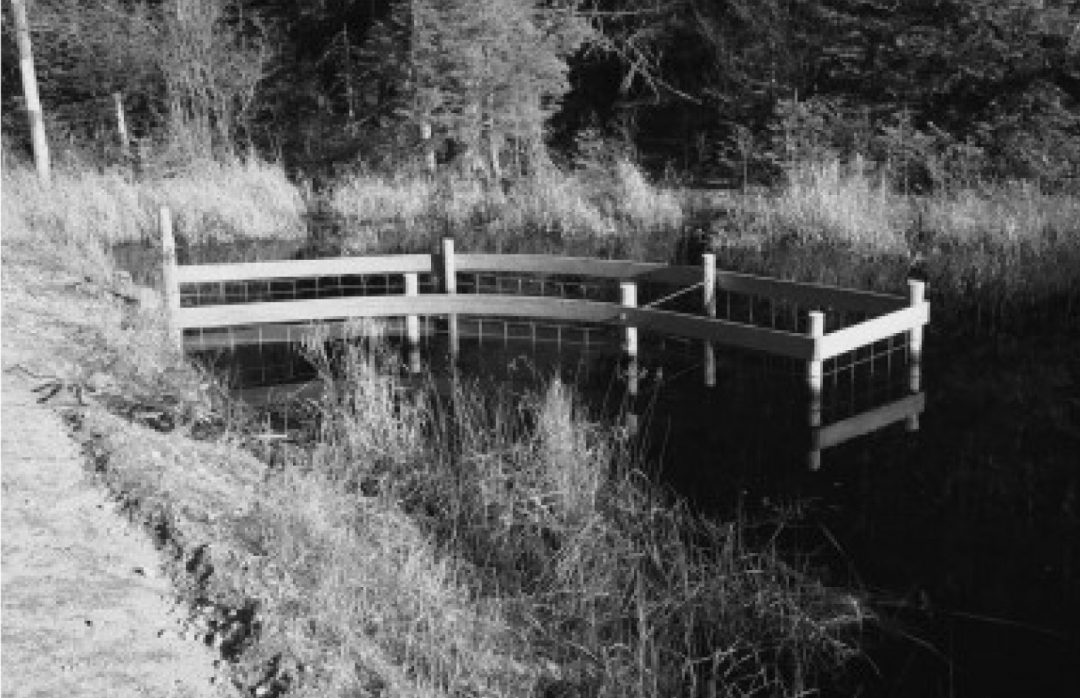 About Skip - Beaver Deceivers