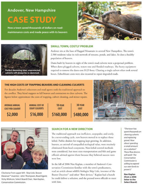 Case Studies - Beaver Deceivers